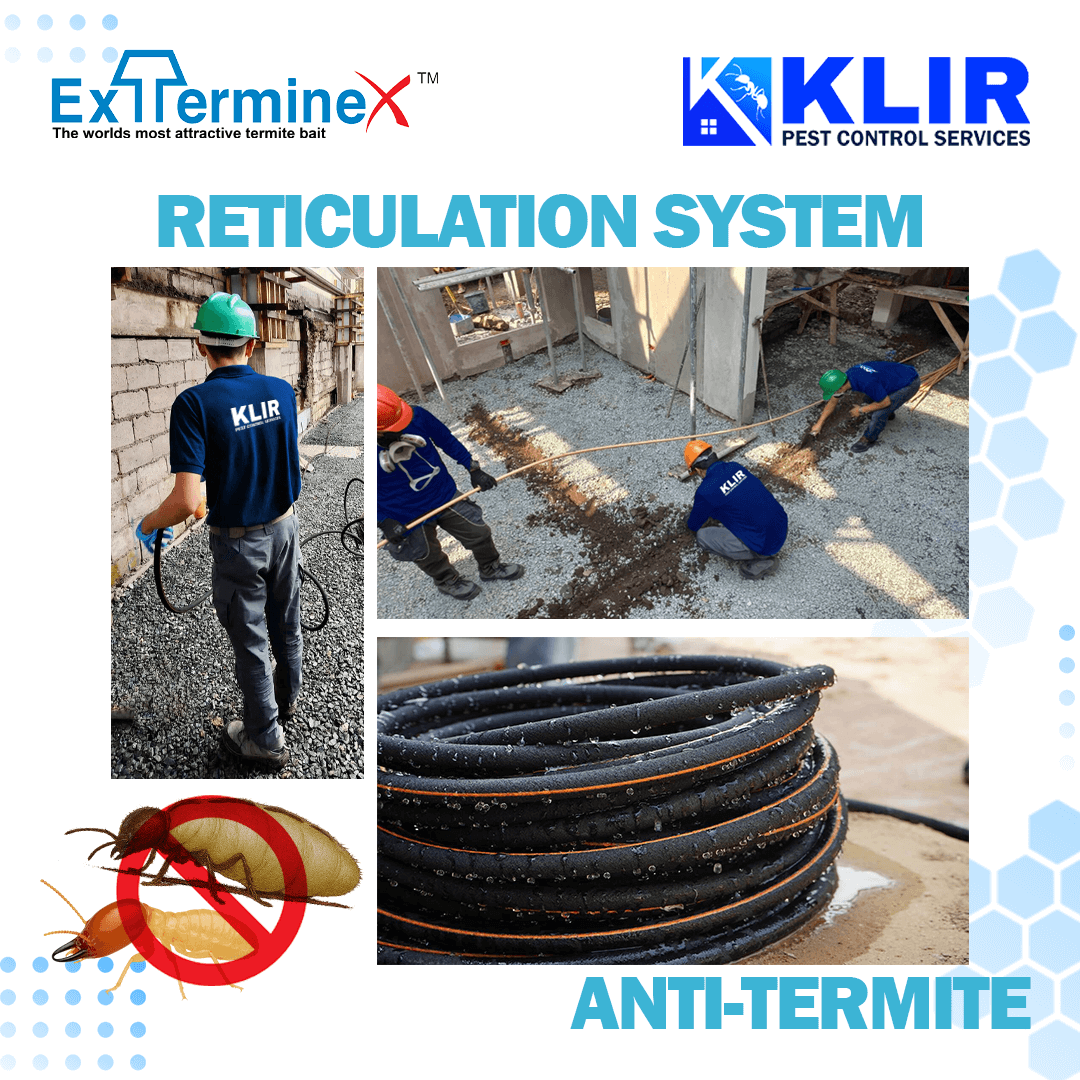 Anti-Termite Reticulation System – Klir – Pest Control Service